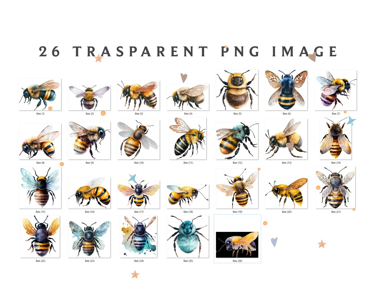 Watercolor Bee Bee Clipart Bee PNG Bee Art Bee Digital - Etsy Canada