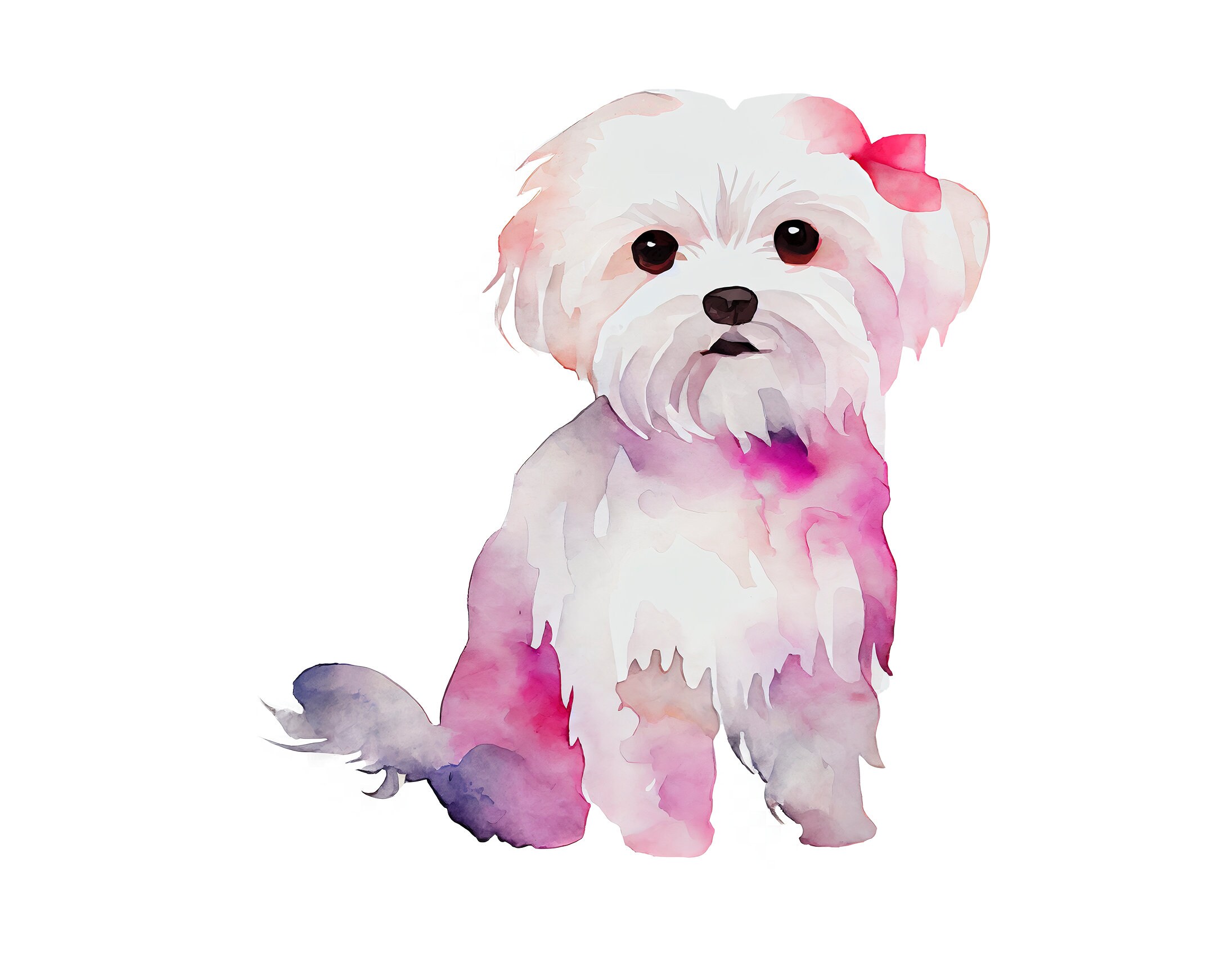 Maltese Dog Clipart Maltese Dog Watercolor Clipart Cute - Etsy