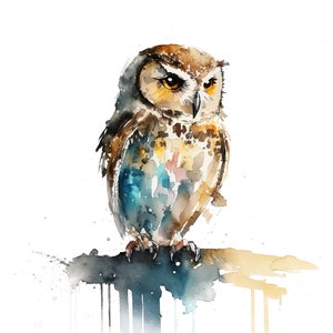Eule Png, Aquarell Eule, Eule Clipart, Eule PNG, Eule Kunst, Eule, Eule ...