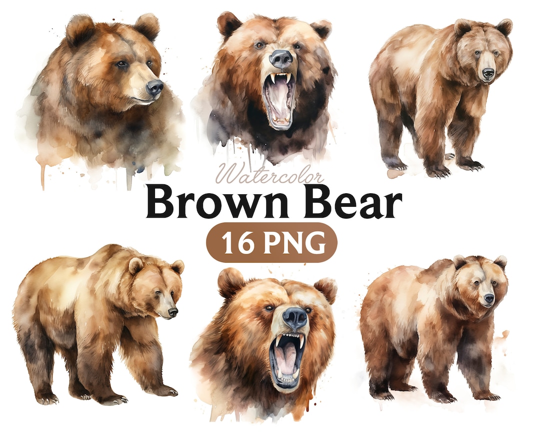 Watercolor Brown Bear PNG Clipart Bundle, Nursery Wall Art, Digital ...