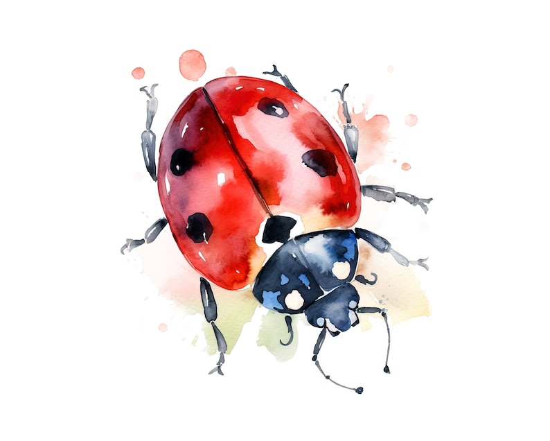 Ladybug Watercolor Clipart Illustration PNG - Etsy