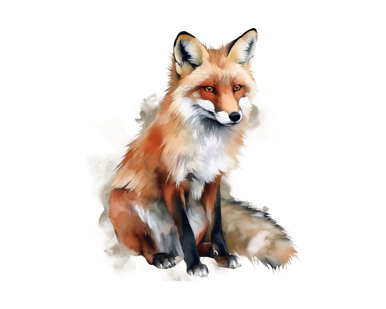 Watercolor Fox Clipart Cute Fox PNG Woodland Animals - Etsy