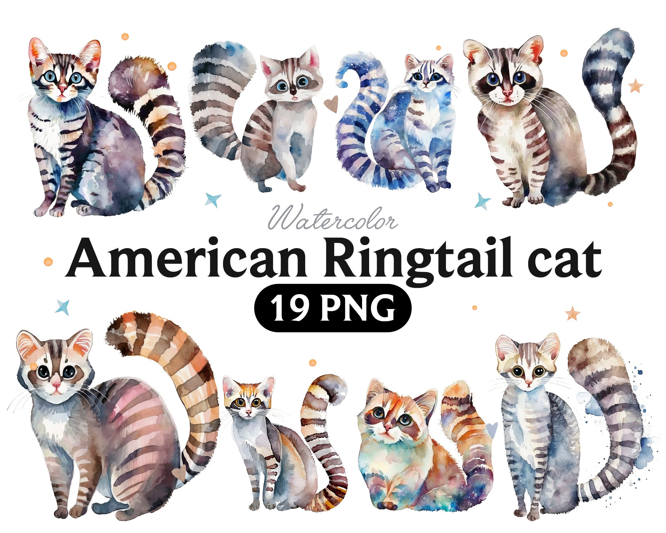 Desenho De Gato Ringtail
