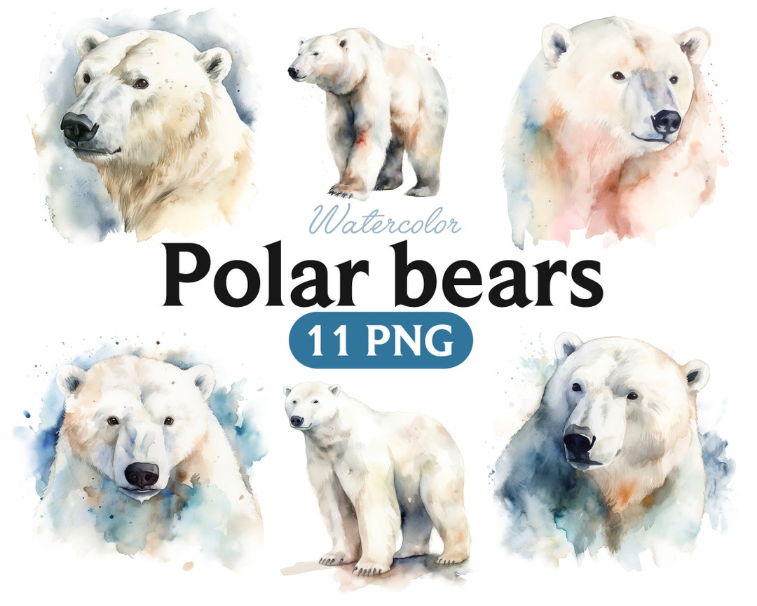 Polar Bears Watercolor, Polar Bears PNG, Polar Bears Clipart, White ...