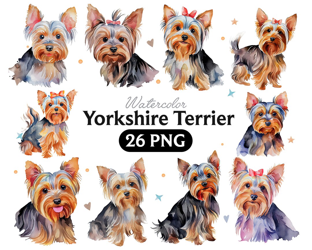 Yorkshire Terrier Clipart, Yorkshire Terrier Watercolor Clipart, Cute ...