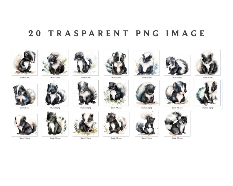 Skunk Watercolor Clipart, Baby Shower Graphics (20 PNG) (digital ...