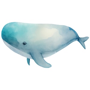 Aquarell Wal, Wal Clipart, Wal PNG, Wal Clipart, Wal Kunst, Wal ...