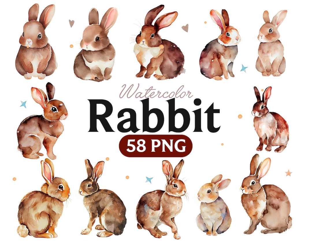 Bunny Rabbit Watercolor Clipart, Cute Baby Shower Graphics, Nursery ...