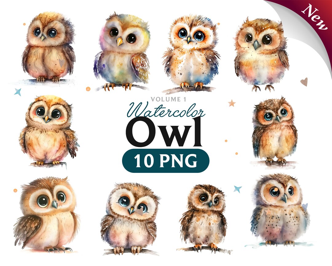 Cute Owl Png, Watercolor Owl , Owl Clipart, Owl PNG, Owl Art, Owl , Owl ...