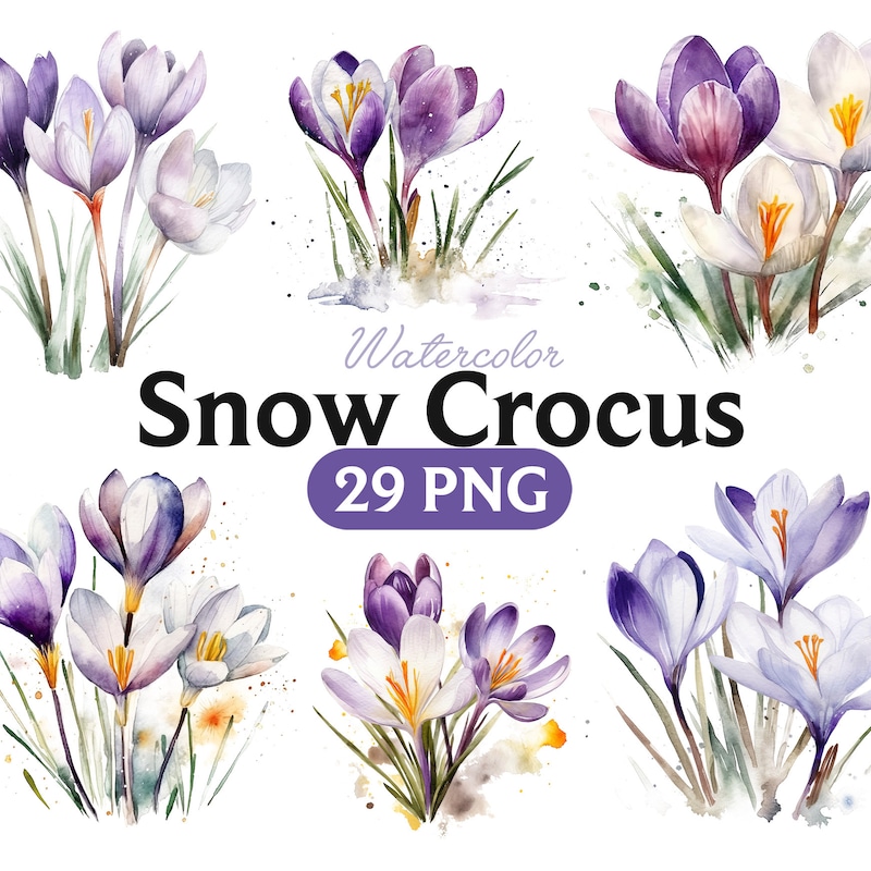 Crocus Bouquet - Etsy UK