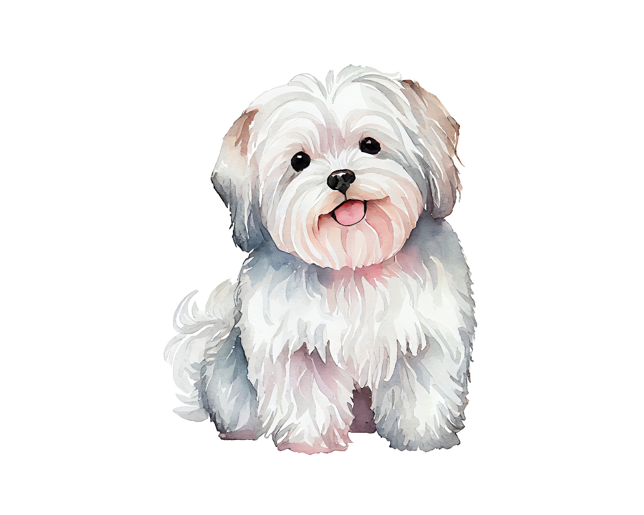 Maltese Dog Clipart Maltese Dog Watercolor Clipart Cute - Etsy