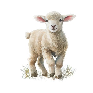 Sheep Watercolor Clipart, Sheep PNG, Cute Baby Shower Graphics, Nursery ...
