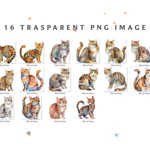 Watercolor Tabby Cat, Cat Png, Watercolor Cat, Hand Drawn Tabby Cat ...