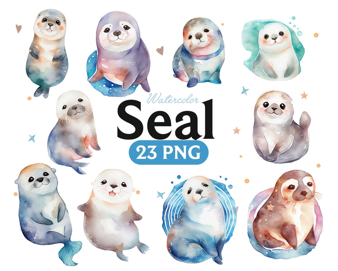 Seal Watercolor Clipart, Cute Baby Shower Graphics, Nursery Decor Wall ...