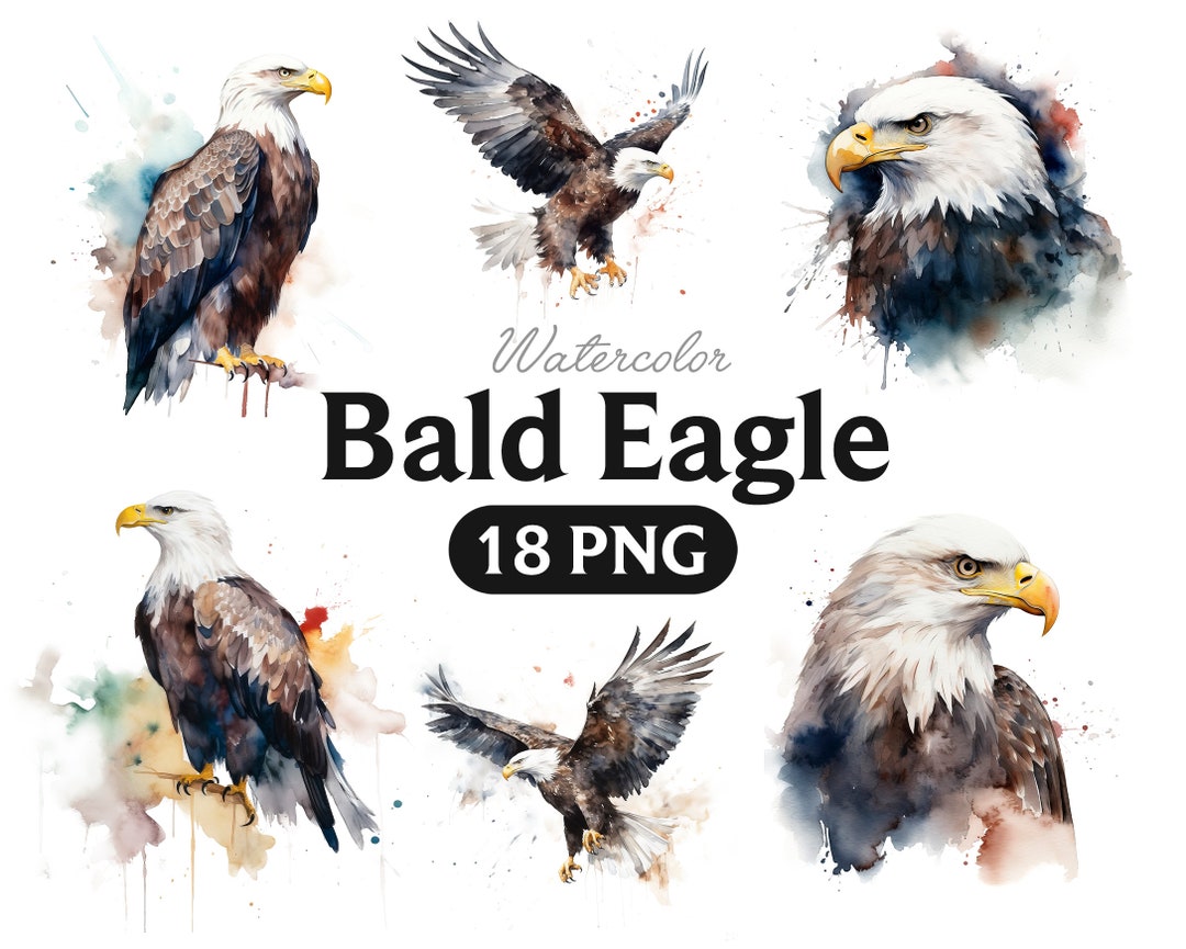 Watercolor Bald Eagle Clipart, Alpine Forest Eagle PNG Format Instant ...