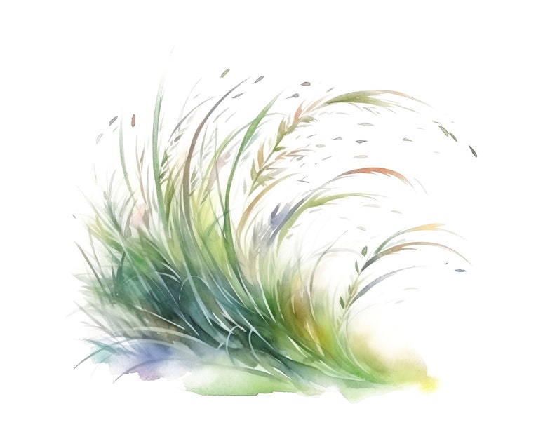 Watercolor Grass Clipart Spring Tufts of Grass Botanical PNG - Etsy