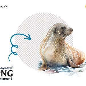 Seal Watercolor Clipart, Seal PNG, Cute Baby Shower Graphics, Nursery ...