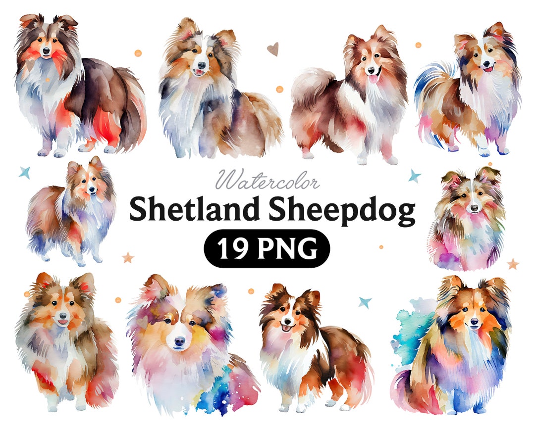 Sheltie Watercolor Clipart, Sheltie Watercolor Png, Cute Shetland ...