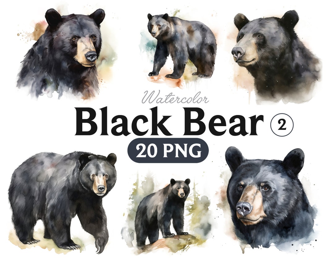 Black Bear Watercolor Clipart, Black Bear Graphics, Black Bear Animal ...