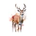 Watercolor Deer Clipart, Nursery Decor, Deer PNG, Watercolor Animals ...