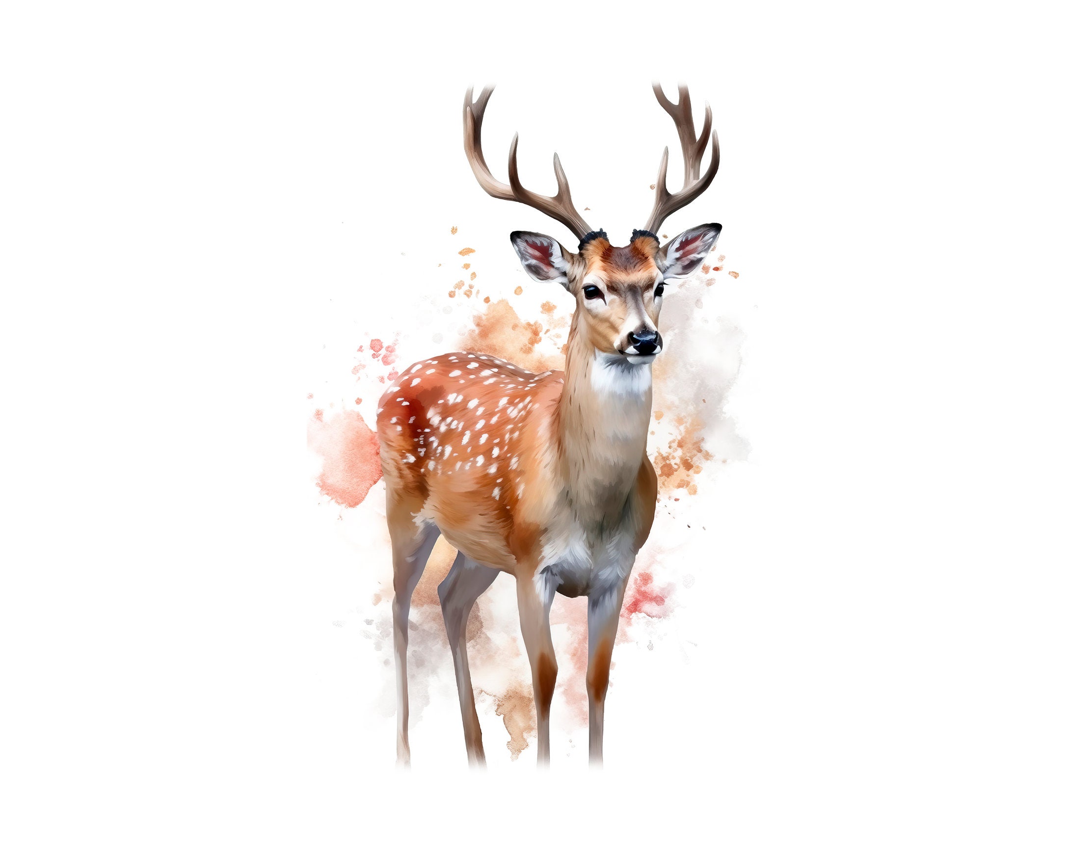 Watercolor Deer Clipart Nursery Decor Deer PNG Watercolor - Etsy Canada