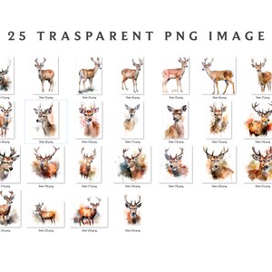 Watercolor Deer Clipart, Nursery Decor, Deer PNG, Watercolor Animals ...
