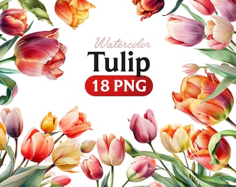 Tulip Watercolor Clipart Download Commercial Use - Etsy