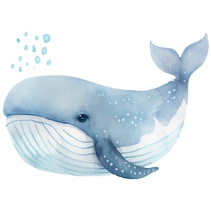 Aquarell Wal, Wal Clipart, Wal PNG, Wal Clipart, Wal Kunst, Wal ...
