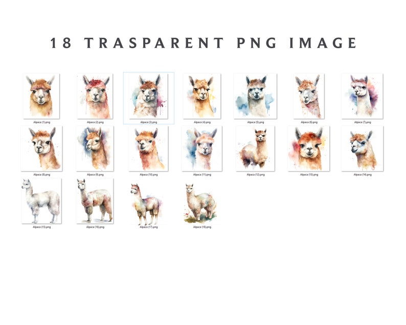 Watercolor Alpaca Clipart Farm Animals PNG Nursery Wall Art - Etsy