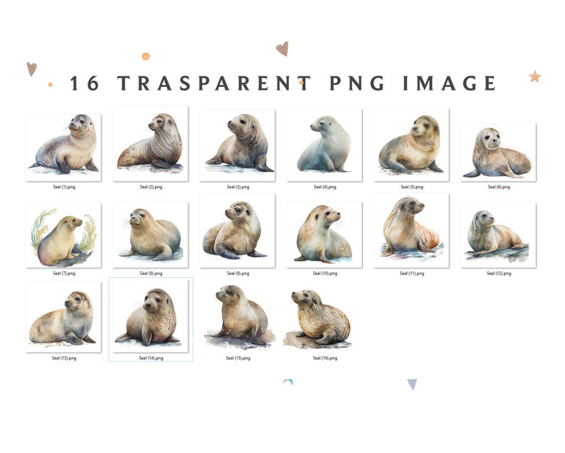 Seal Watercolor Clipart Seal PNG Cute Baby Shower Graphics - Etsy