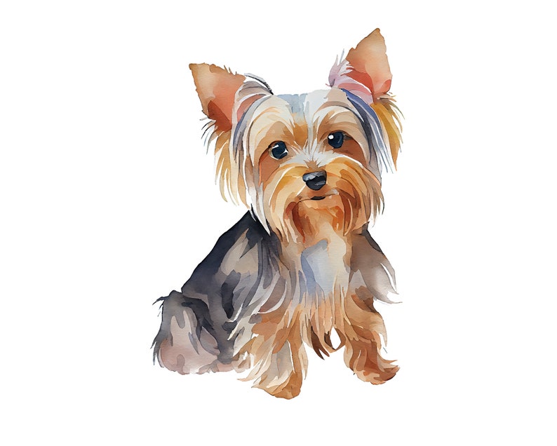 Yorkshire Terrier Clipart Yorkshire Terrier Watercolor - Etsy