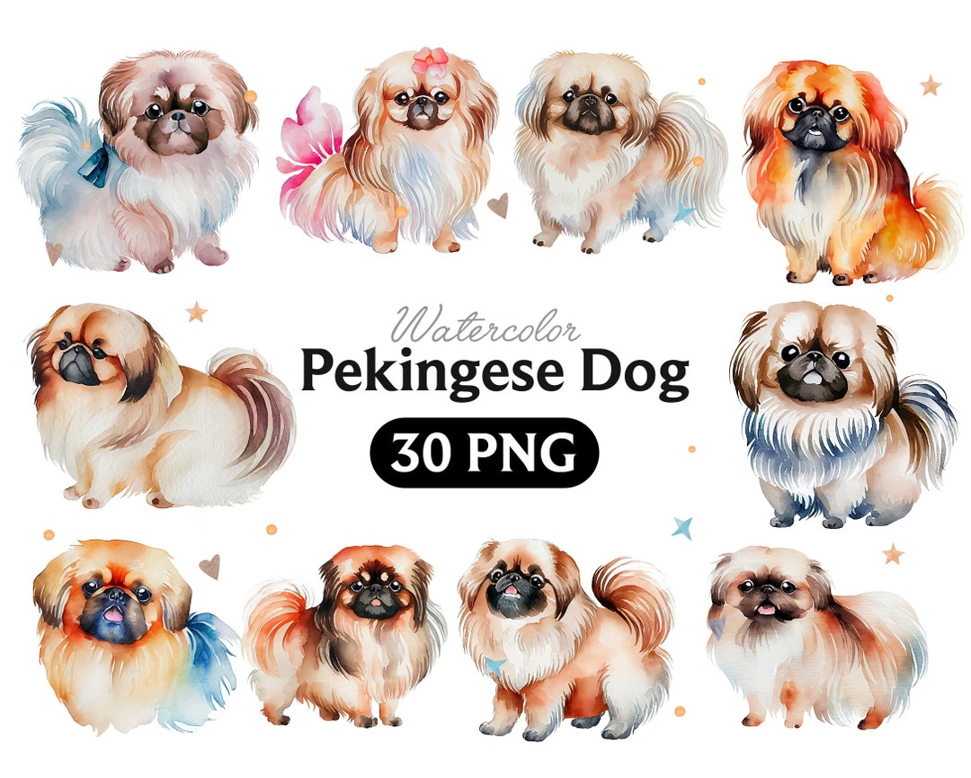 Pekingese Dog Clipart, Pekingese Dog Watercolor Clipart, Cute Dog ...