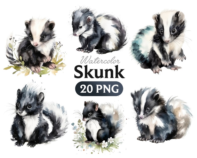 Skunk Watercolor Clipart, Baby Shower Graphics (20 PNG) (digital ...