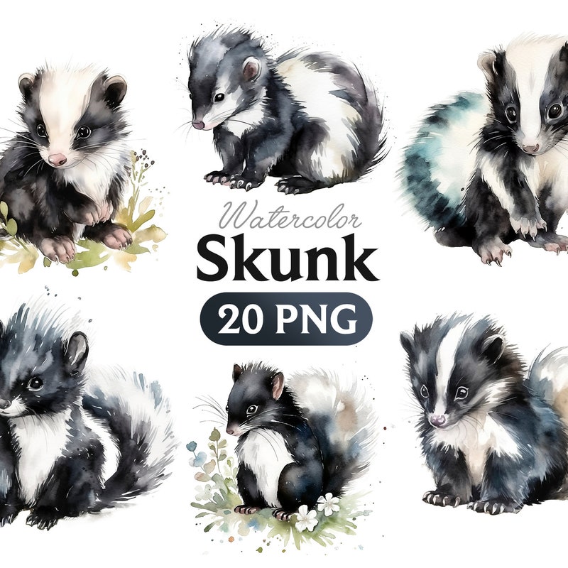 Skunk - Etsy
