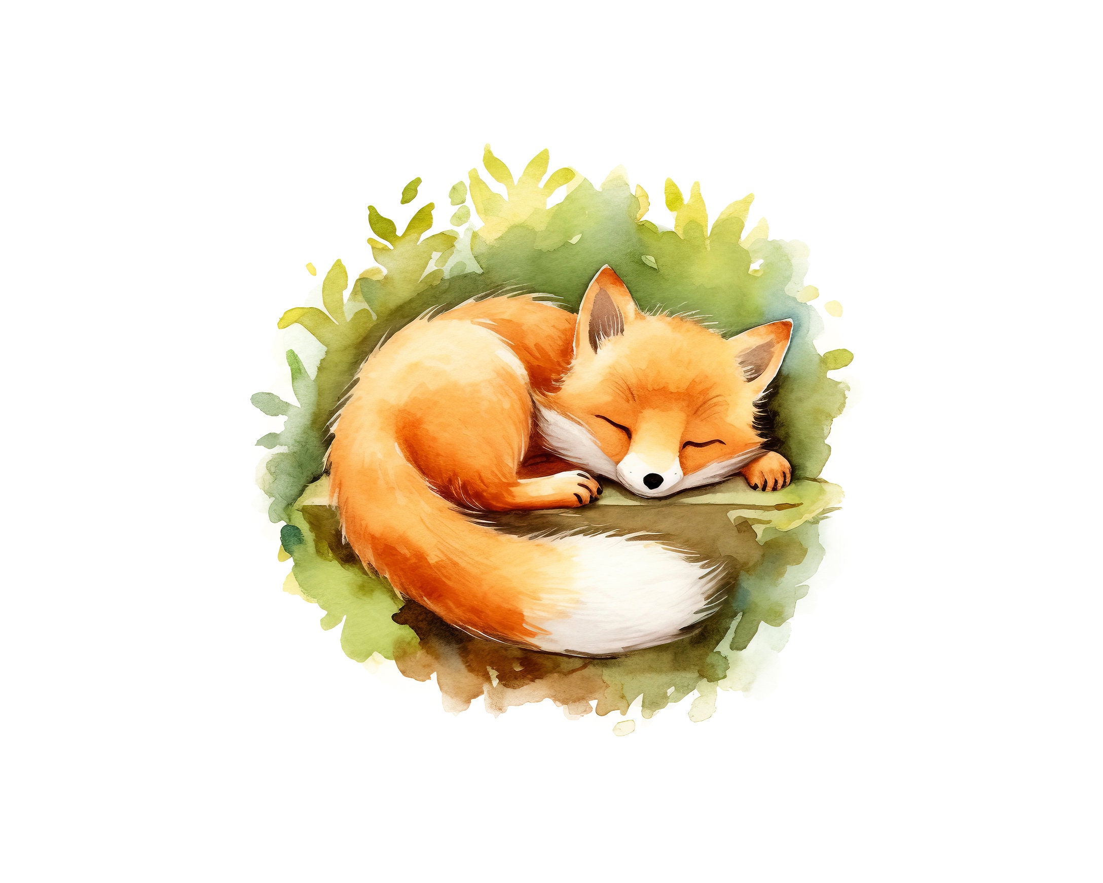 Cute Sleeping Fox Clipart PNG Watercolor Baby Fox Clip Art - Etsy