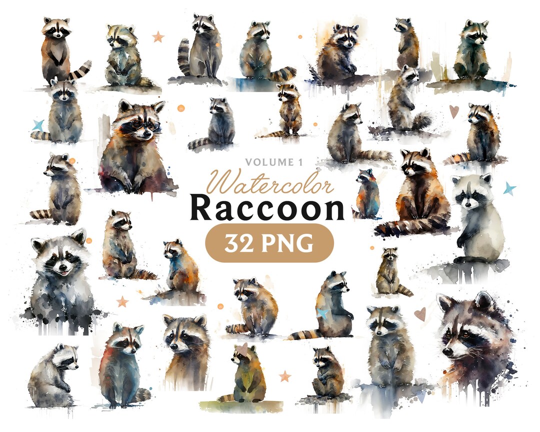 Raccoon Png, Watercolor Raccoon, Raccoon Clipart, Raccoon Animal ...
