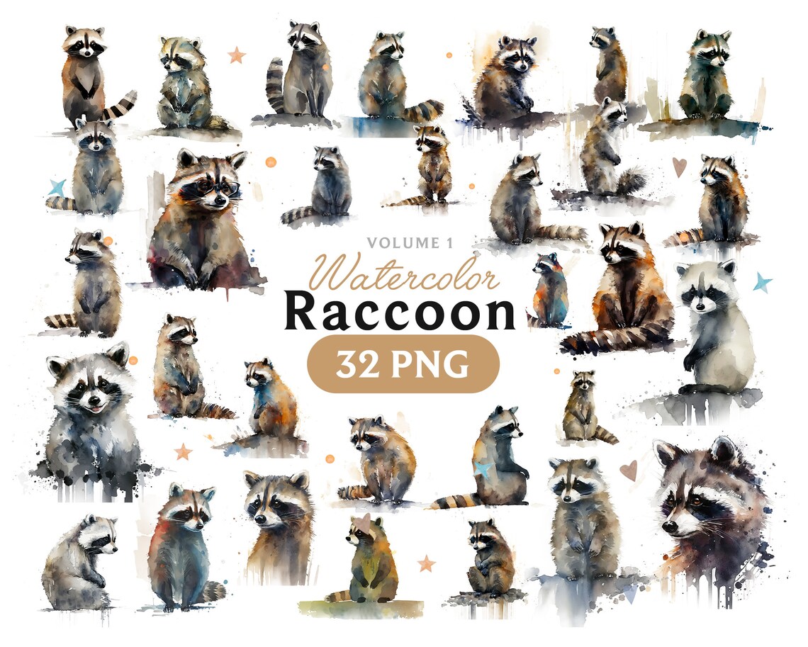 Raccoon Png Watercolor Raccoon Raccoon Clipart Raccoon - Etsy