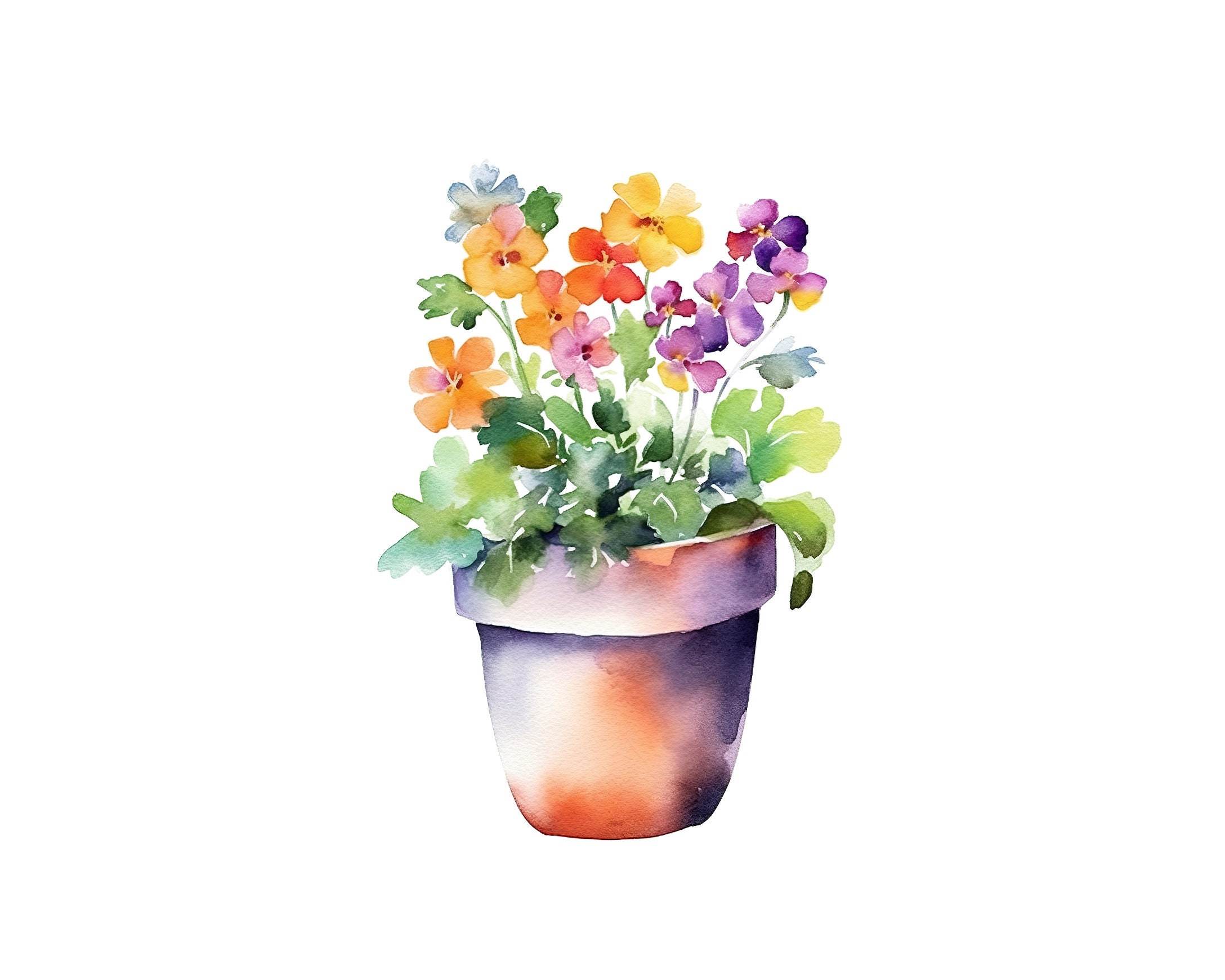Watercolor Flower Pot Clipart: Spring Garden PNG (digital Download) - Etsy