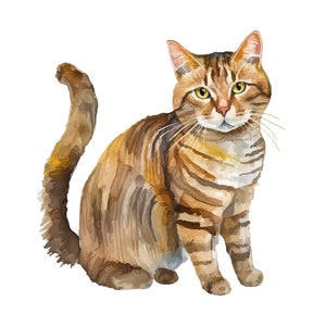 Watercolor Tabby Cat, Cat Png, Watercolor Cat, Hand Drawn Tabby Cat ...