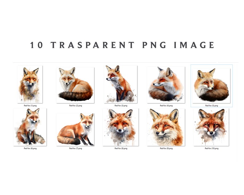 Watercolor Fox Clipart Cute Fox PNG Woodland Animals - Etsy