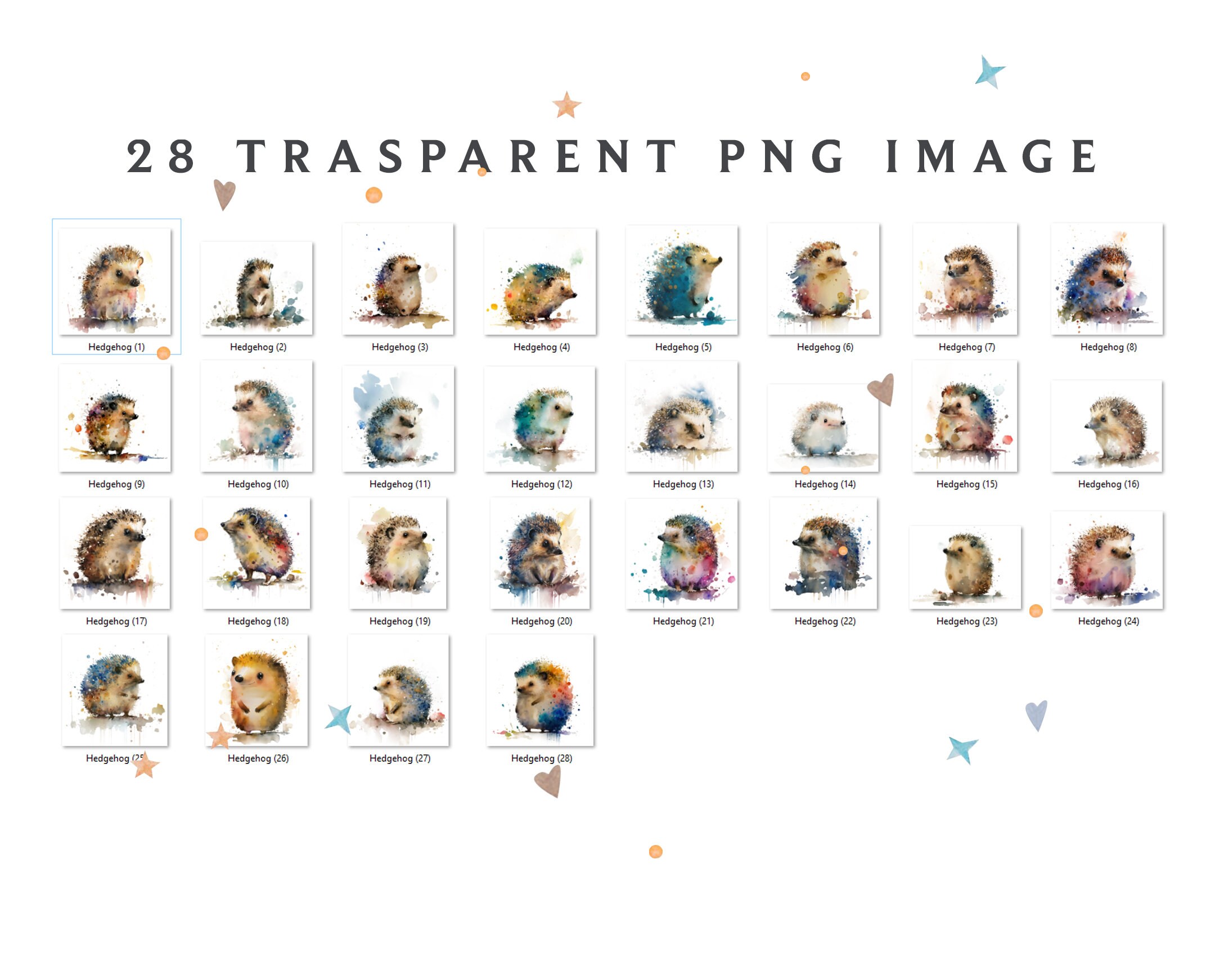 Hedgehog Png Watercolor Hedgehog Hedgehog Clipart Hedgehog - Etsy