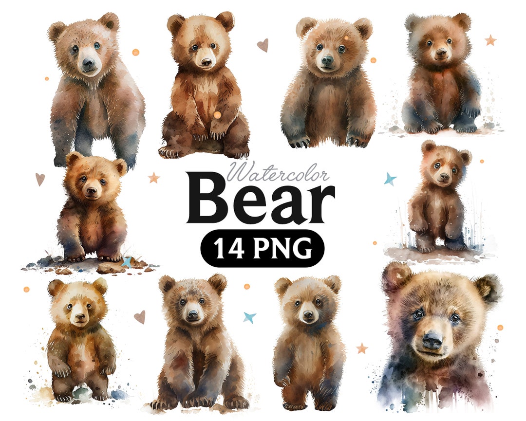 Bear Watercolor, Bear Clipart, Teddy Bear Png, Watercolor Bear Clipart ...