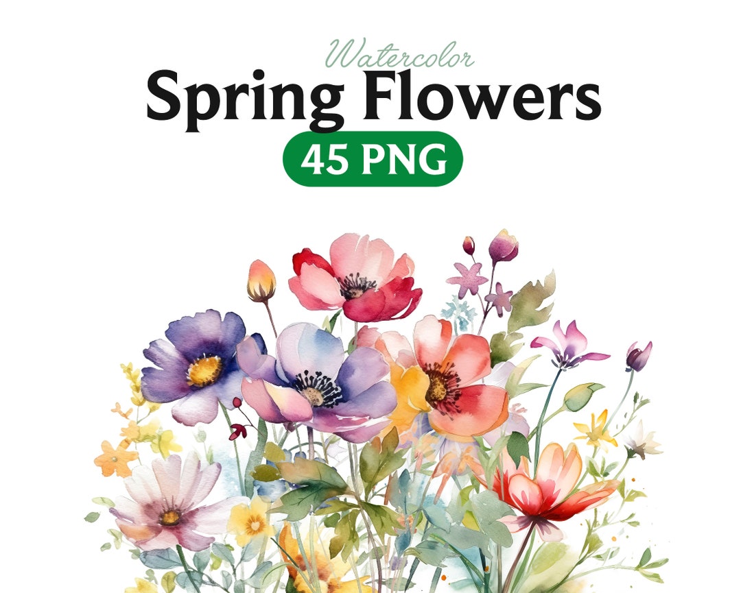 Spring Flowers PNG, Watercolor Floral Clipart Bouquets, Elements ...