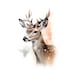 Watercolor Deer Clipart, Nursery Decor, Deer PNG, Watercolor Animals ...