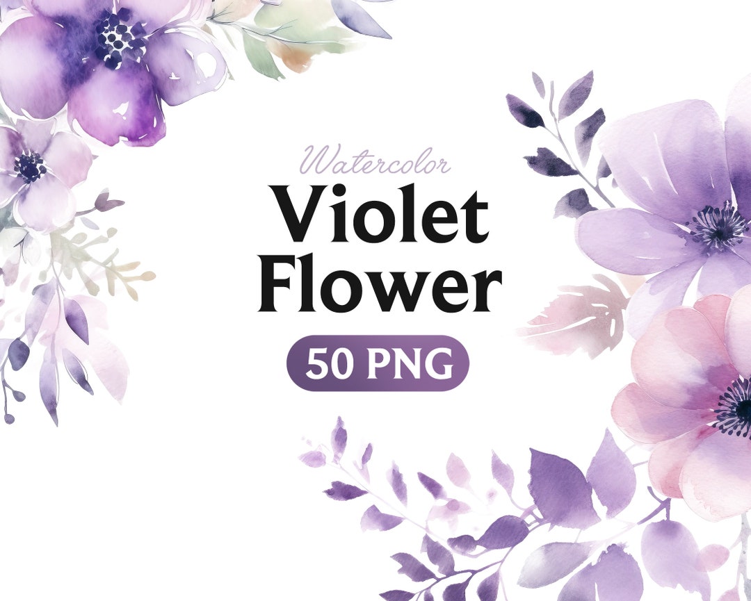 Watercolor Violet Flower Clipart: 50 PNG Illustrations (digital ...
