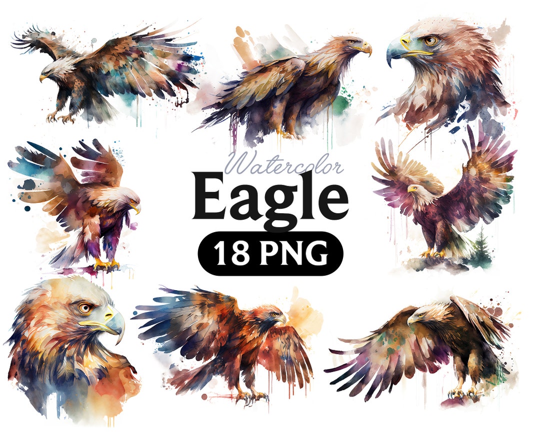 Eagle Watercolor, Eagle Clipart, Eagle Png, Watercolor Eagle Clipart - Etsy