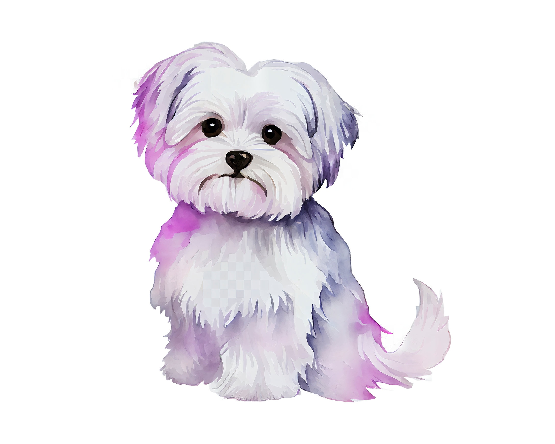 Maltese Dog Clipart Maltese Dog Watercolor Clipart Cute - Etsy