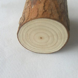 Blank Wood Stump Log, Unfinished Wood Tree Cutout, for DIY Craft, Photo ...