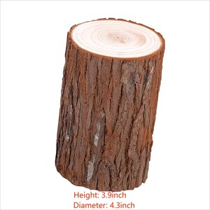 Blank Wood Stump Log, Unfinished Wood Tree Cutout, for DIY Craft, Photo ...