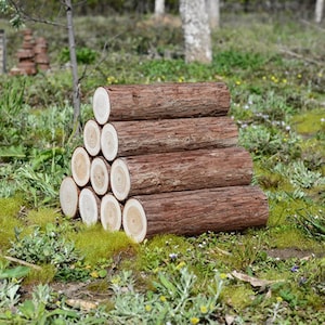 Blank Wood Stump Log, Unfinished Wood Tree Cutout, for DIY Craft, Photo ...